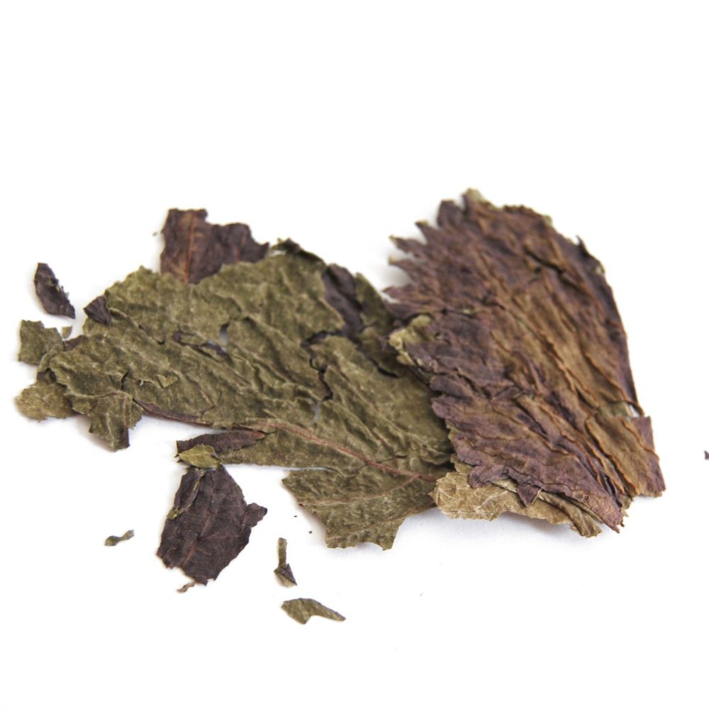 ZI SU YE - Folium Perillae Frutescens - Planeta Verd