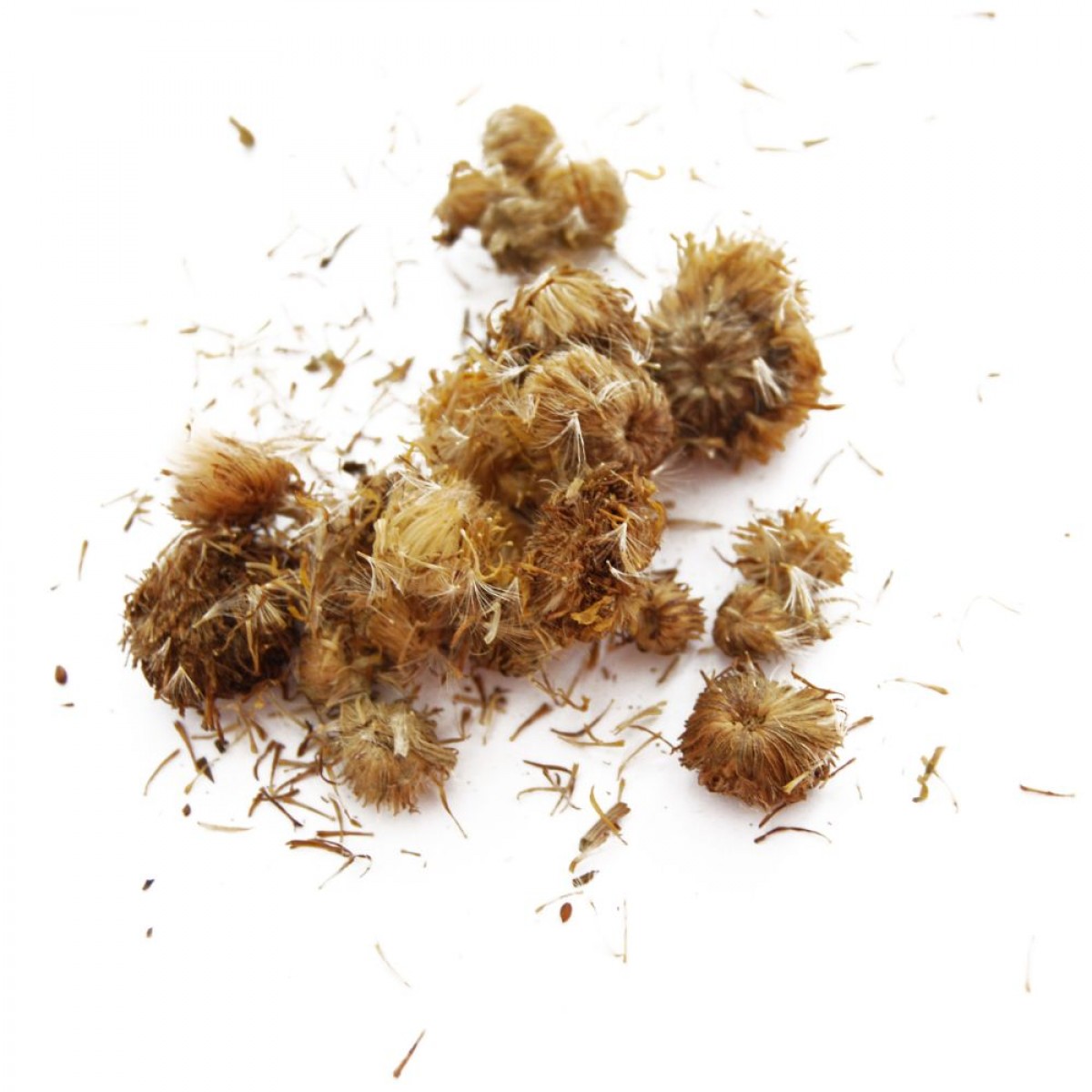 XUAN FU HUA - Flos Inulae - Planeta Verd