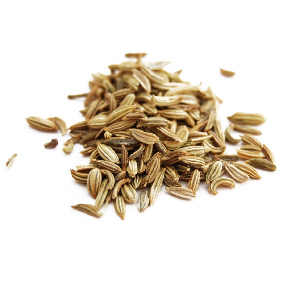 XIAO HUI XIANG/HUI XIANG - Fructus Foeniculi Vulg. - Planeta Verd