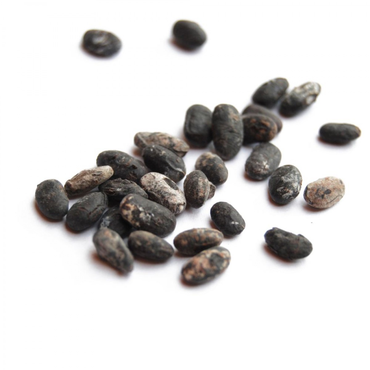 DAN DOU CHI - Semen Sojae Praeparatum - Planeta Verd