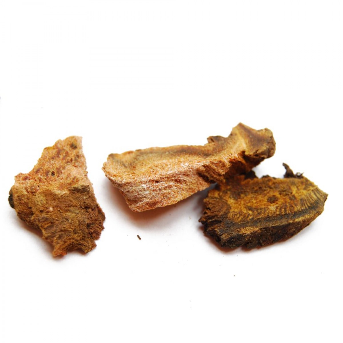 DA HUANG (SHENG) - Radix/Rhizoma Rhei (Crudae) - Planeta Verd