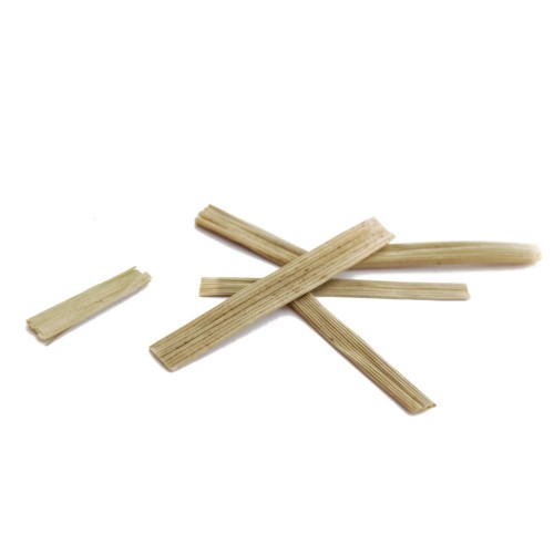 MU ZEI - Herba Equiseti Hiemalis - Planeta Verd